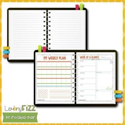 My Week at a Glance Schedules and Printables for DIY Planners - LemonyFizz
