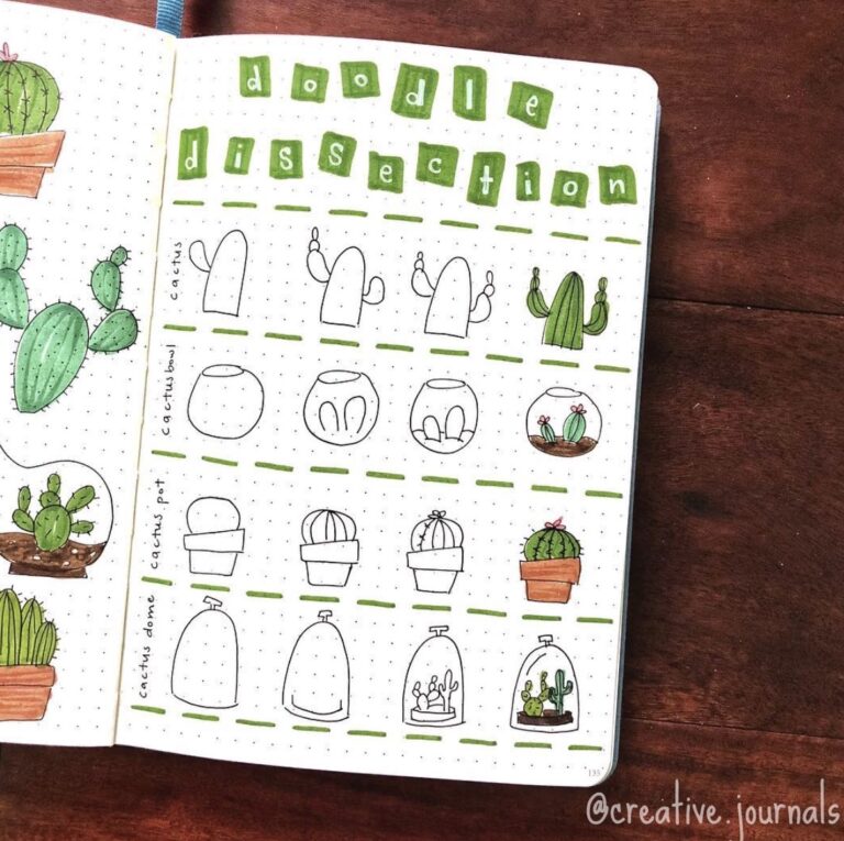 How to Draw Succulents with Easy Step by Step Tutorials