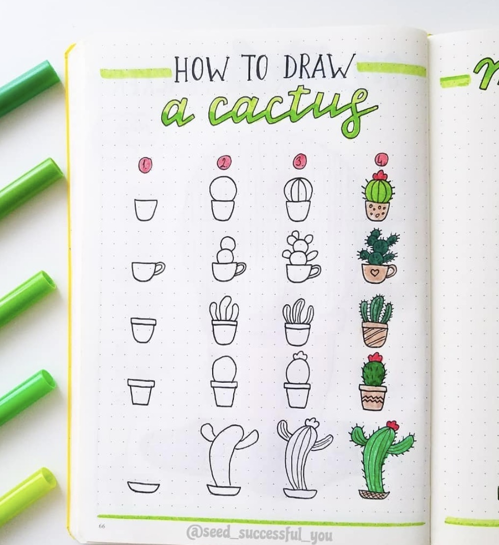 How to Draw Succulents with Easy Step by Step Tutorials