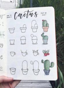 How to Draw Succulents with Easy Step by Step Tutorials