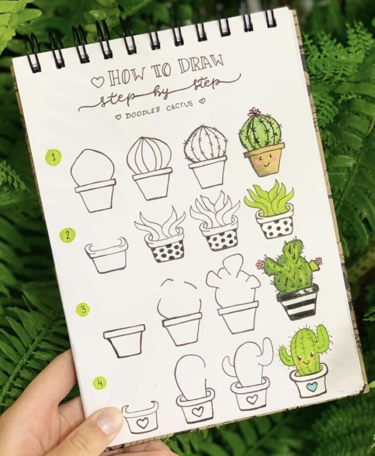 How to Draw Succulents with Easy Step by Step Tutorials