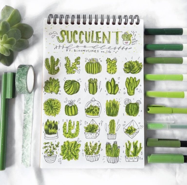 How to Draw Succulents with Easy Step by Step Tutorials
