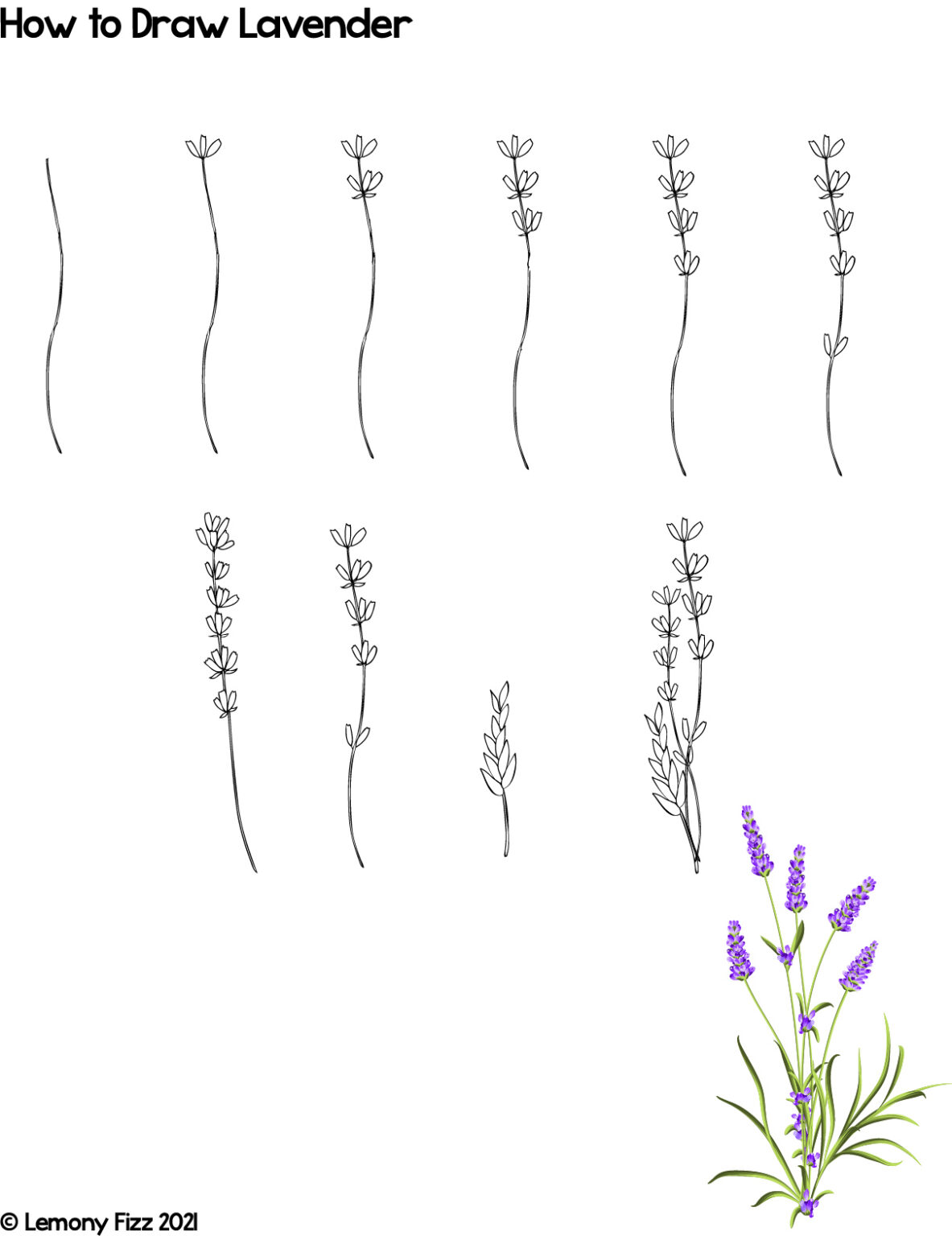 How to Draw Lavender: Easy Doodle Tutorials