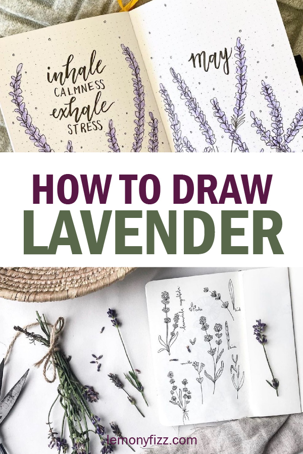 How to Draw Lavender: Easy Doodle Tutorials