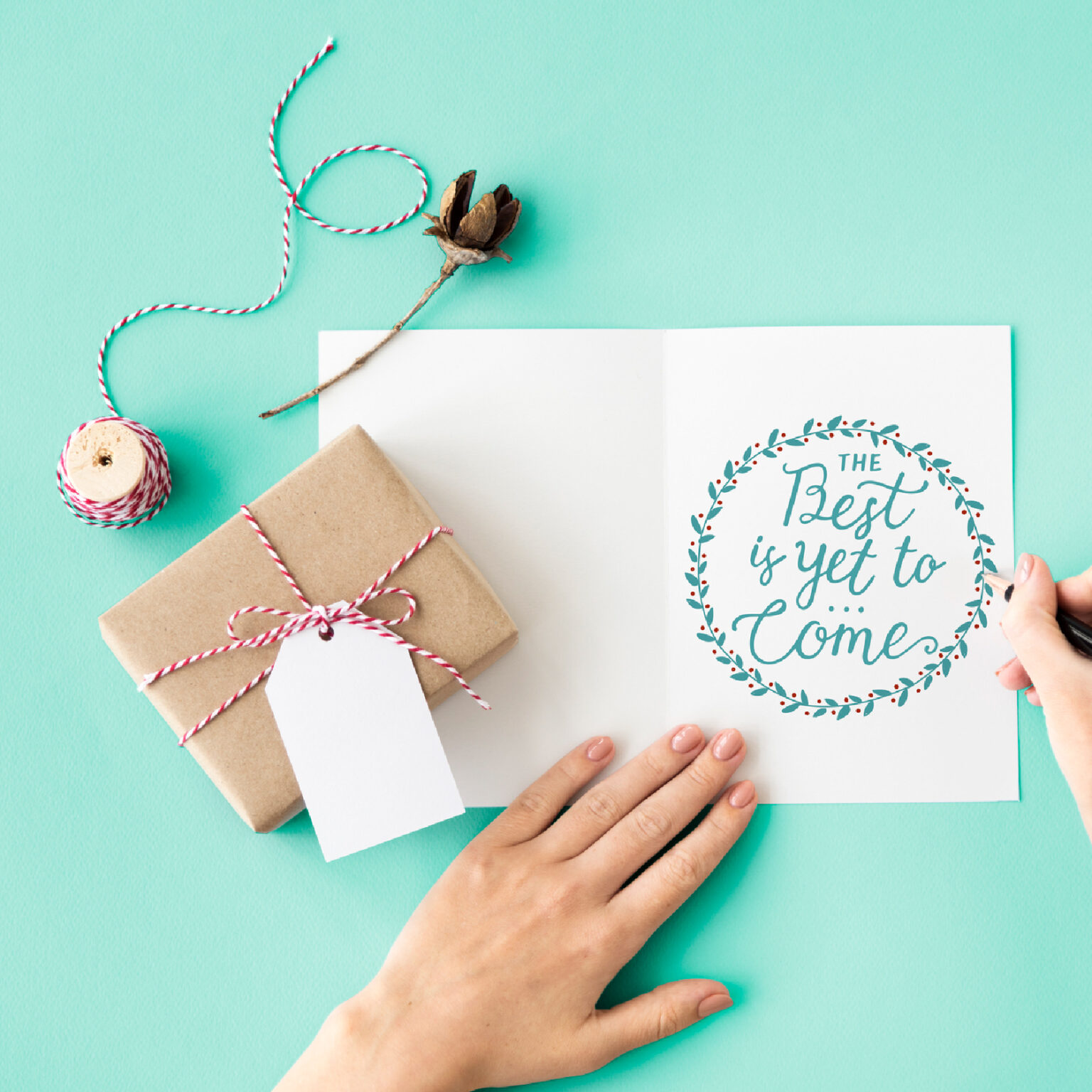 19 Calligraphy Alphabet Examples For All Your Projects