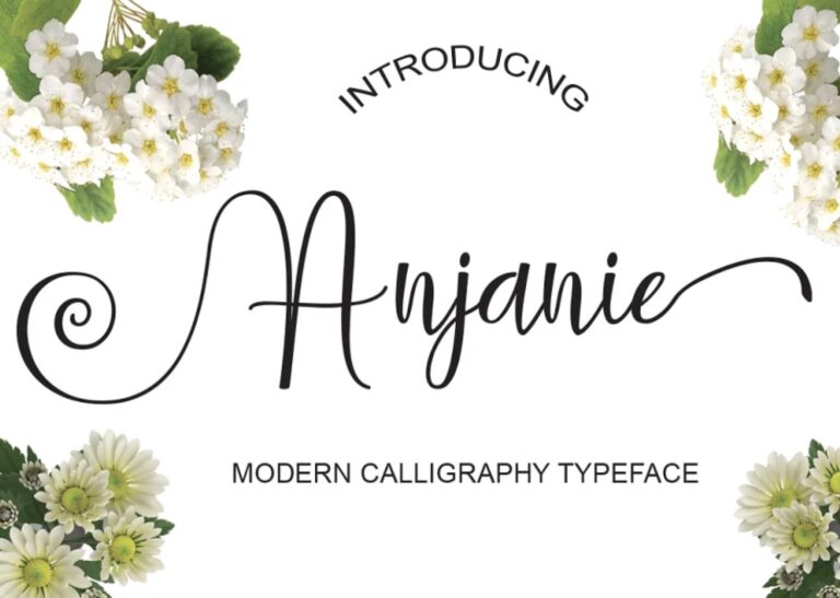19 Calligraphy Alphabet Examples For All Your Projects